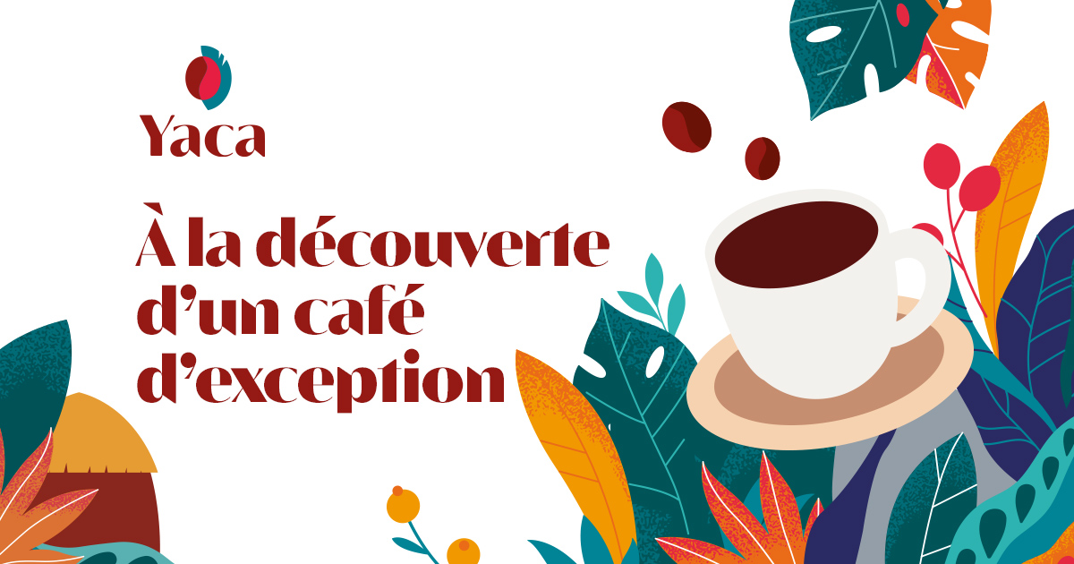 Yaca - À la découverte d’un café d’exception
